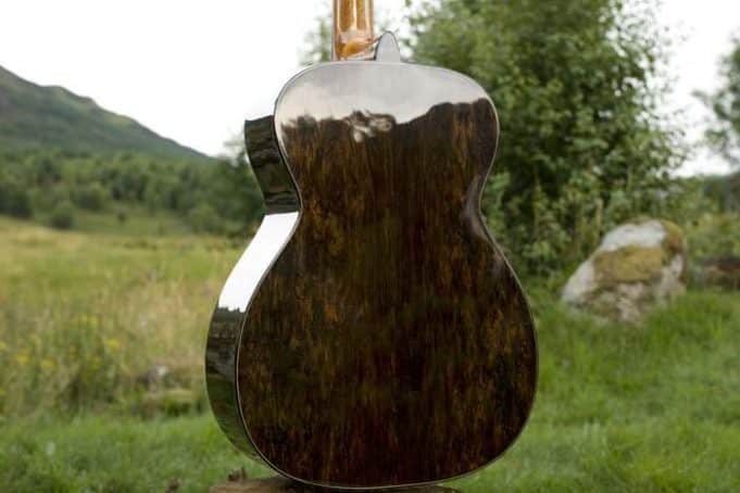 Top 10 Most Expensive Wood in the World (Type, Color, Price)